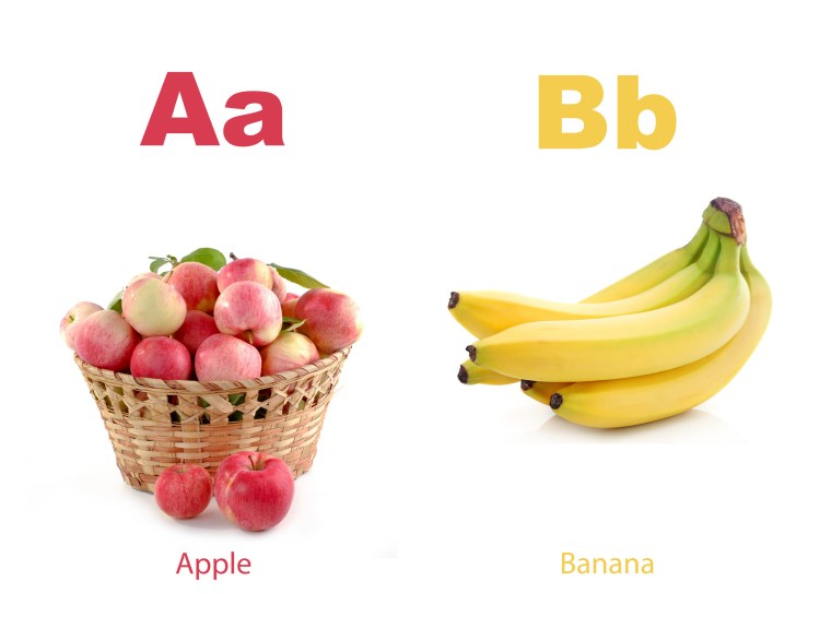 Free Nature-Themed Alphabet Cards – Mercy for Marthas