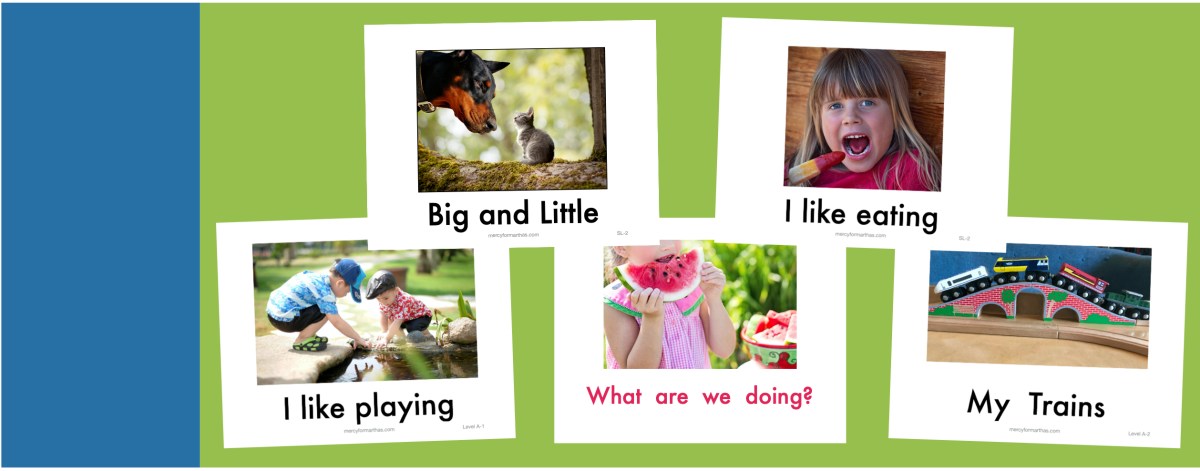 Free Resources for Teaching Children with Down Syndrome to Read – Mercy ...