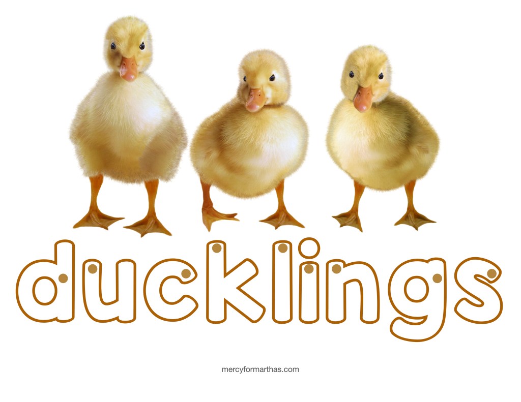 FREE Spring Tracing Pages – Mercy for Marthas